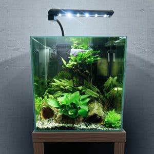 Aqua One 5.76w high output Clip on LED Lighting system for AquaNano 25 ...
