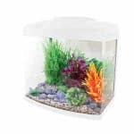 Aqua One Store - Genuine Aqua One Spare Parts - UK